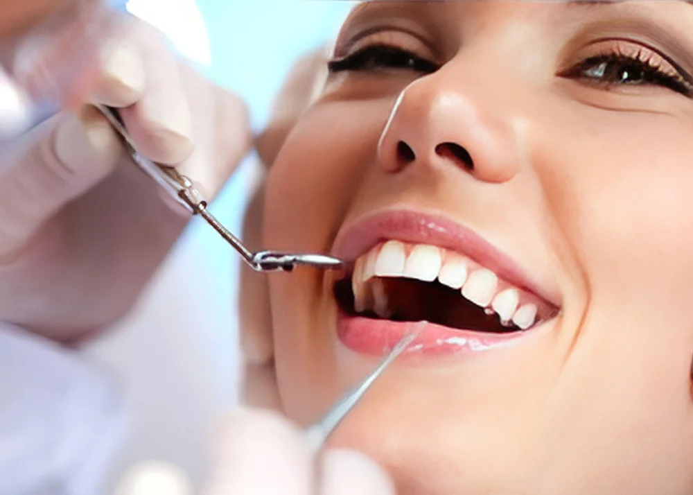 Contact Excedent.ro – Suntem aici pentru tine!